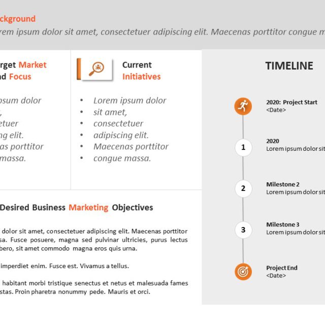Marketing Plan Executive Summary PPT PowerPoint Template
