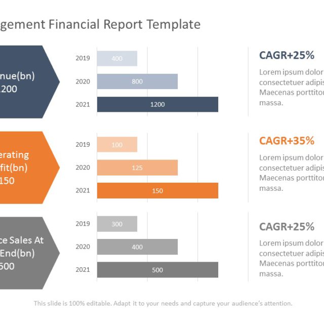 Annual Financial Report PowerPoint Template