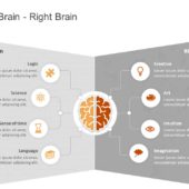 Left Brain Right Brain Logic PowerPoint Template