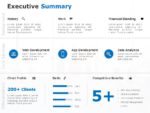 Animated Company Introduction Executive Summary PowerPoint Template ...