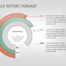 Project Daily Report PowerPoint Template