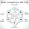 Donor Cycle 06 PowerPoint Template