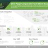 One Page Fact Sheet 04 PowerPoint Template