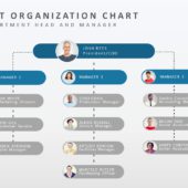 Org Chart PPT Templates Collection