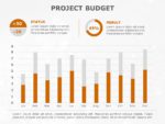 Project Budget 04 | Project Budget Templates | SlideUpLift