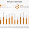Project Budget Status Report PowerPoint Template