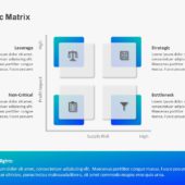 Kraljic Matrix Detailed PowerPoint Template