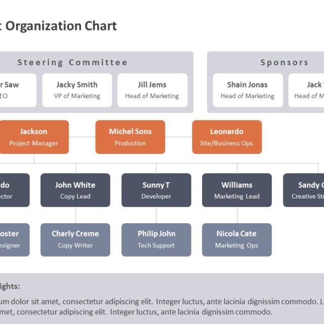 Project Team Organization Chart