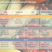 Animated File Sharing Powerpoint Template