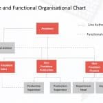 Line and Functional Organization Structure PowerPoint Template ...