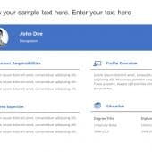 Animated Resume Professional 1 PowerPoint Template